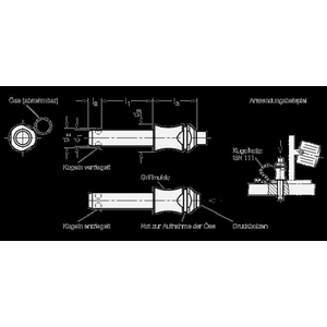 Kogelvergrendelingsbout, roestvrij staal 1.4542 Ganter - ref. GN 113.4 ...