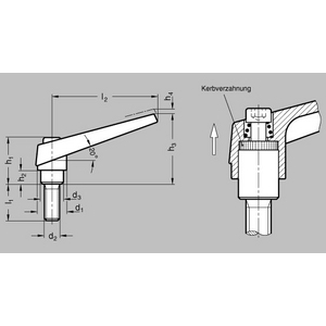 Verstelbare handhendels, zinkpersgietwerk Ganter - ref. GN 101-14-M5-20 ...